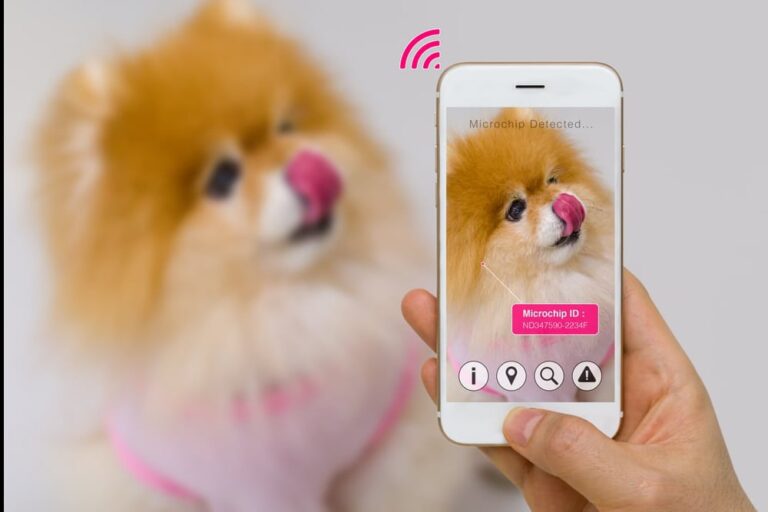 Can I Read A Pet Microchip With My Phone? (Solved!) - [2026]